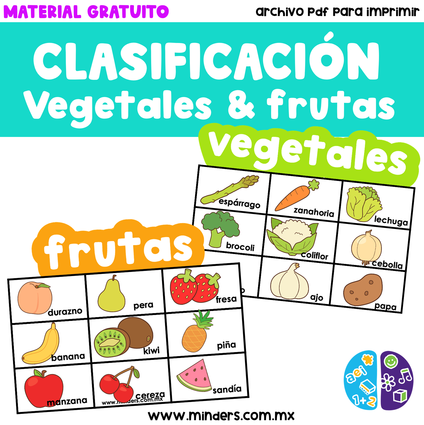 Clasificación de Frutas y Verduras - Material Gratuito Minders – Mindersmx