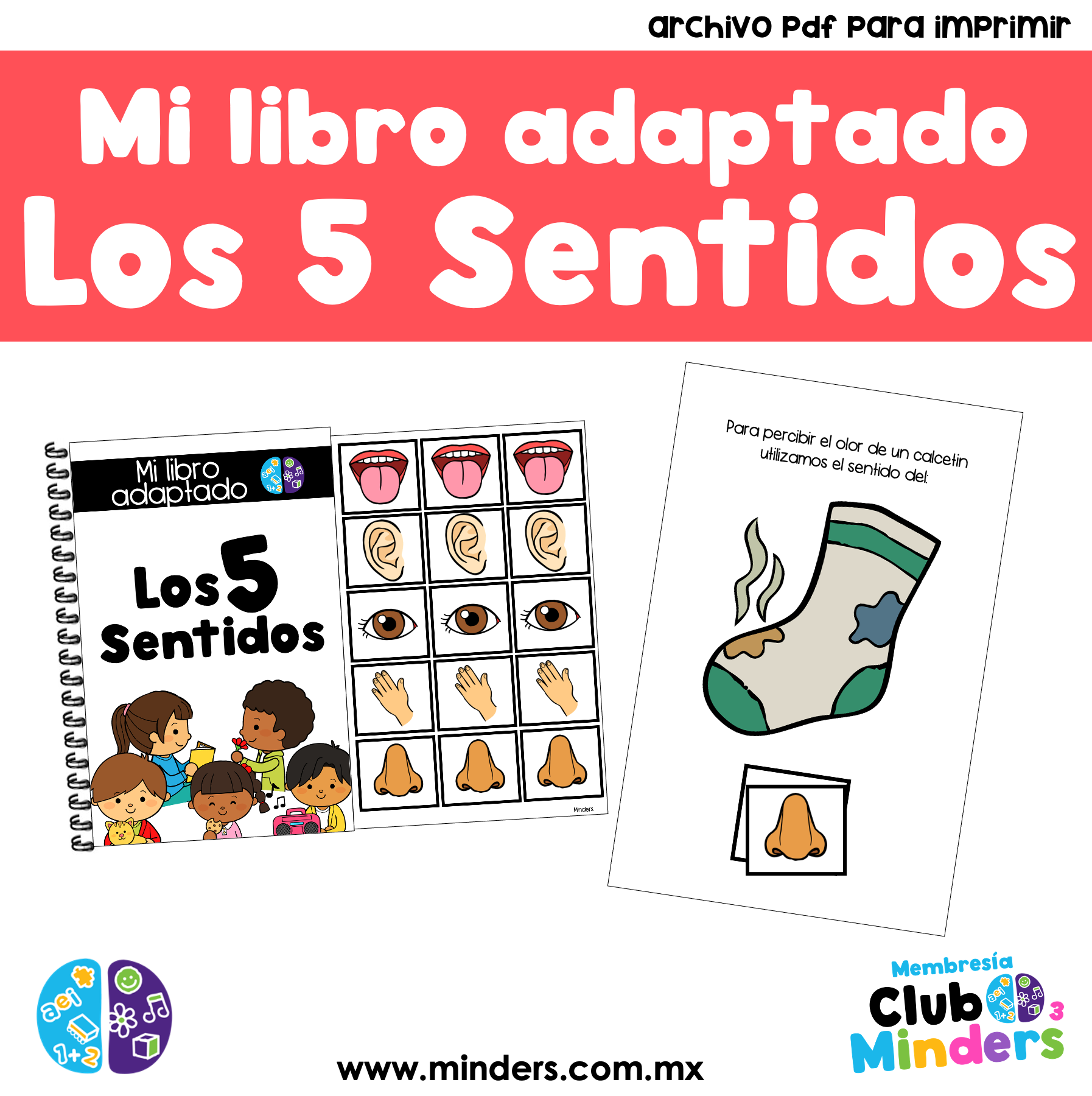 Mi libro adaptado - Mis 5 sentidos – Mindersmx