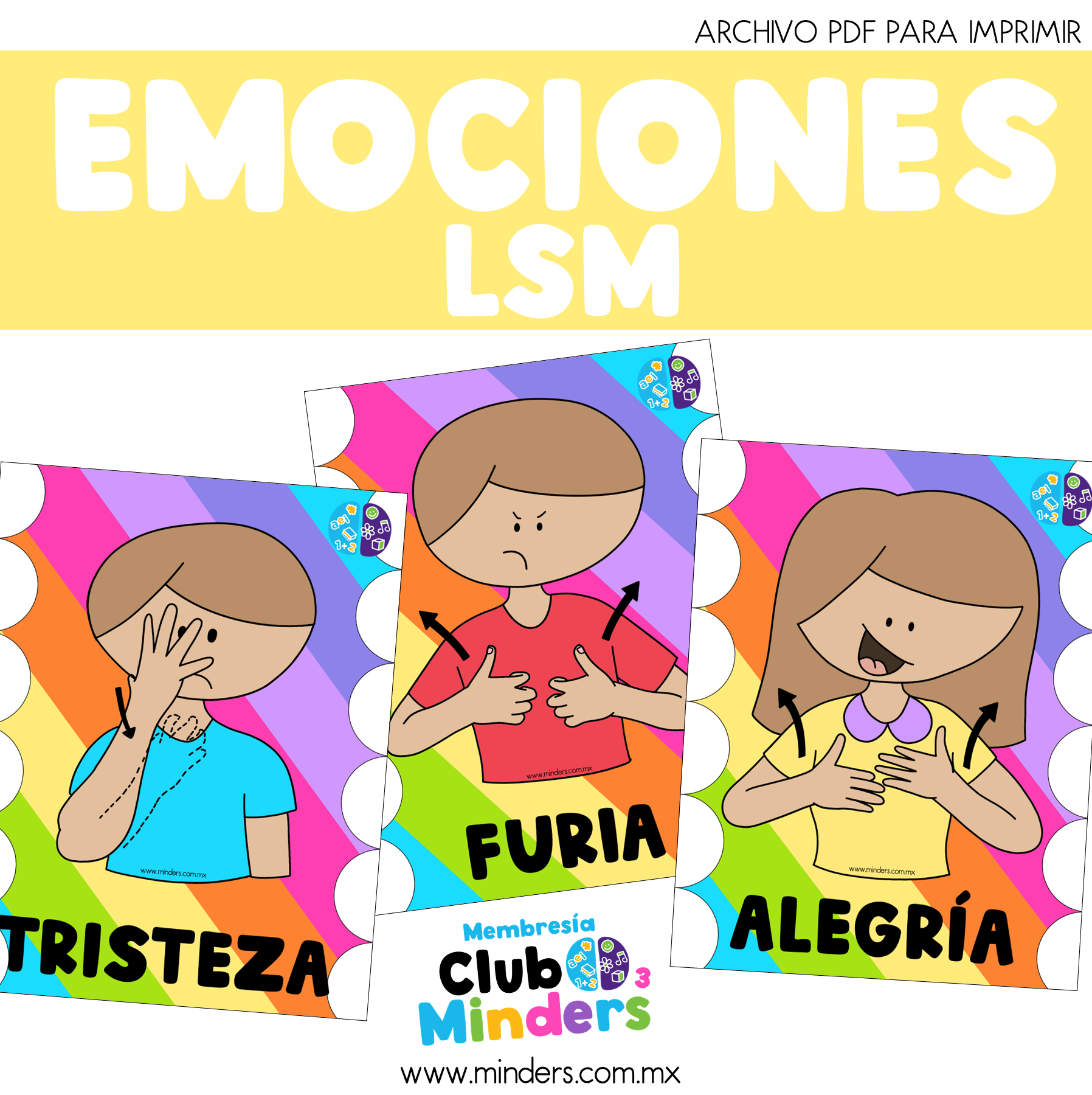 Posters de las Emociones LSM – Mindersmx