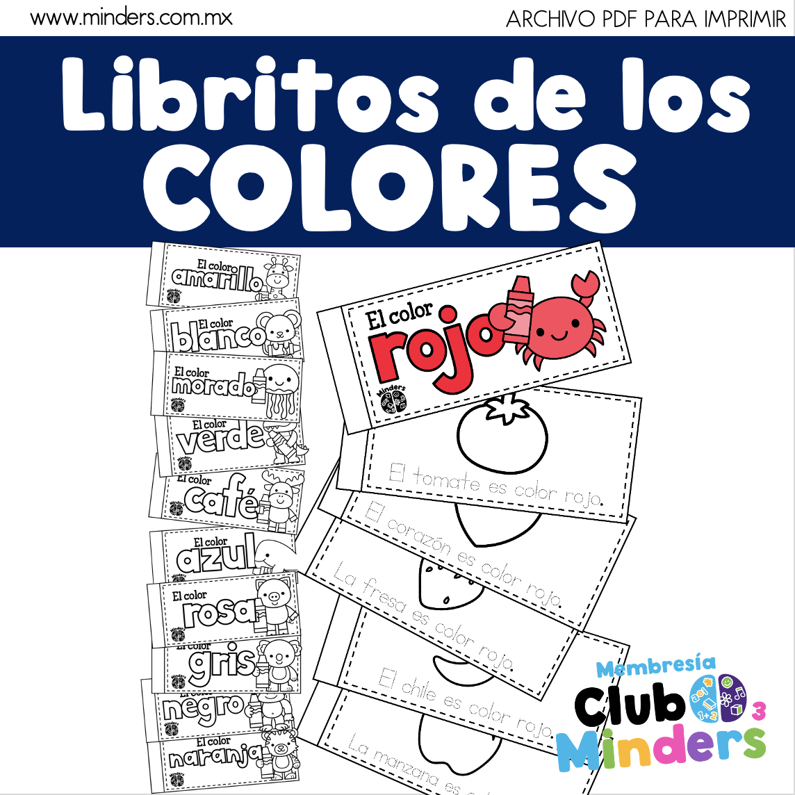 Libritos de colores – Mindersmx