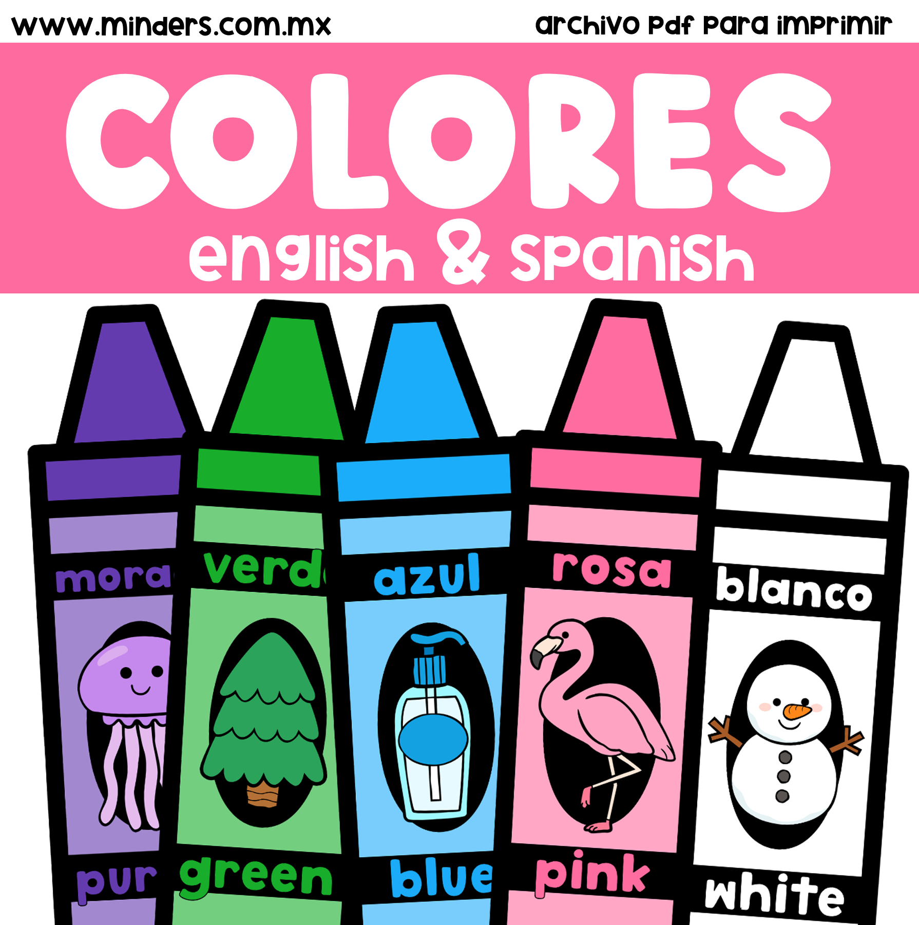 Colores - Colors – Mindersmx